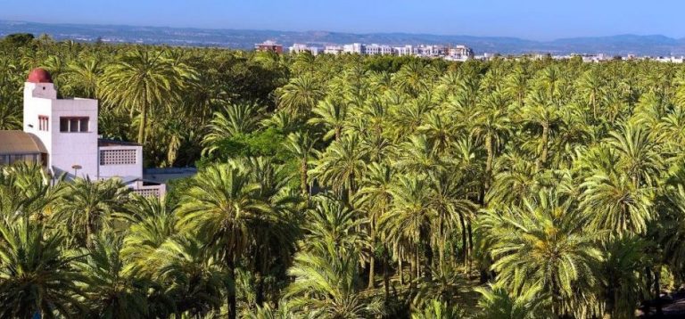 Elche Hotels to stay at for you now find the best