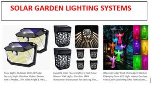 Rose Tree Cuttings best most popular method of propagation